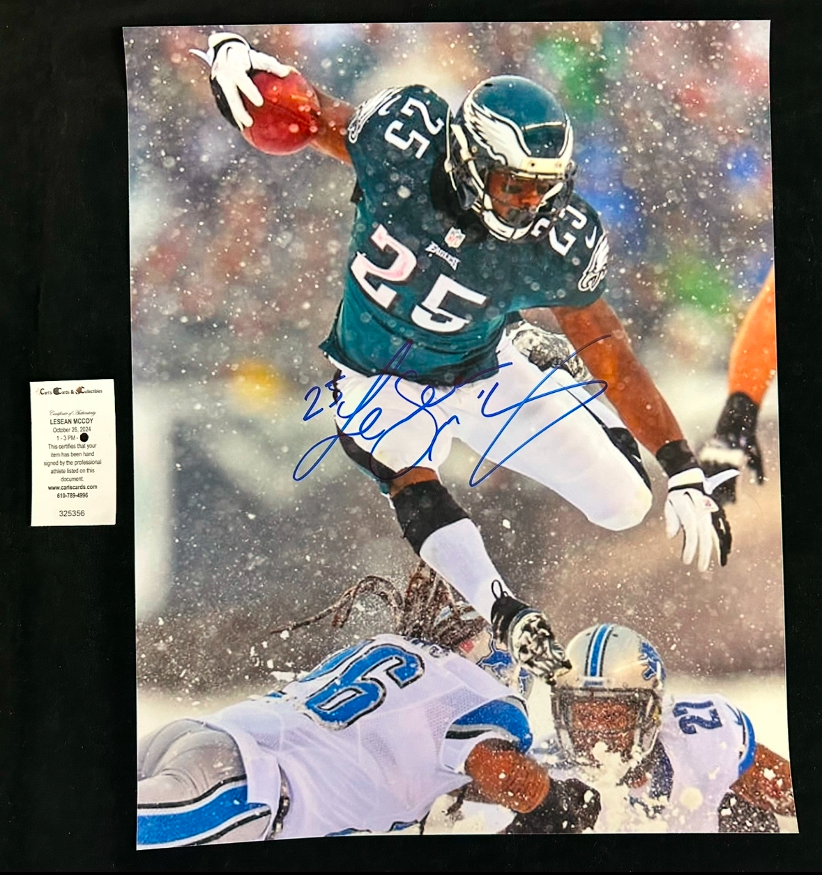 Philadelphia Eagles LeSean McCoy Autographed 16 x 20 Photo - Carls ...